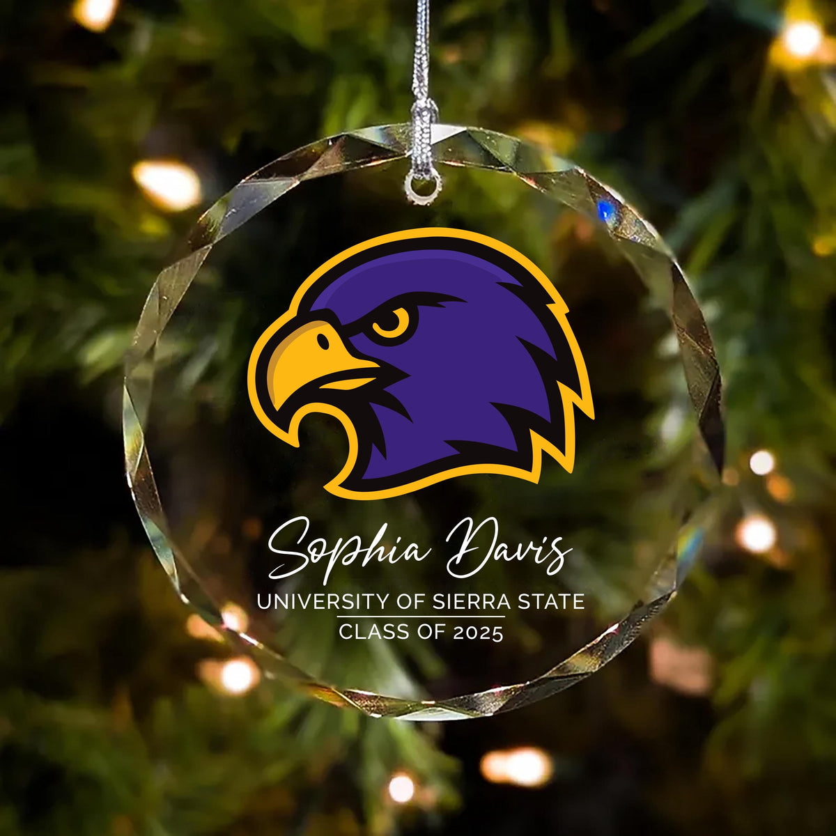 Custom University Logo Crystal Ornament, College Graduation Gift for H ...