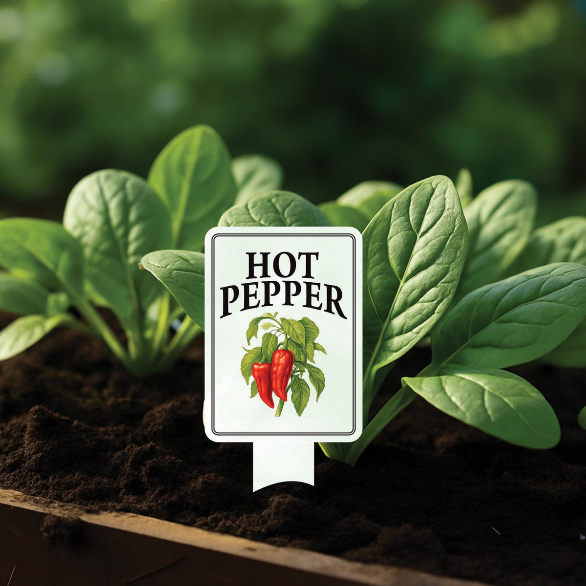 Vegetable Garden Stake, UV Printed Aluminum Plant Marker, Metal Veggie ...